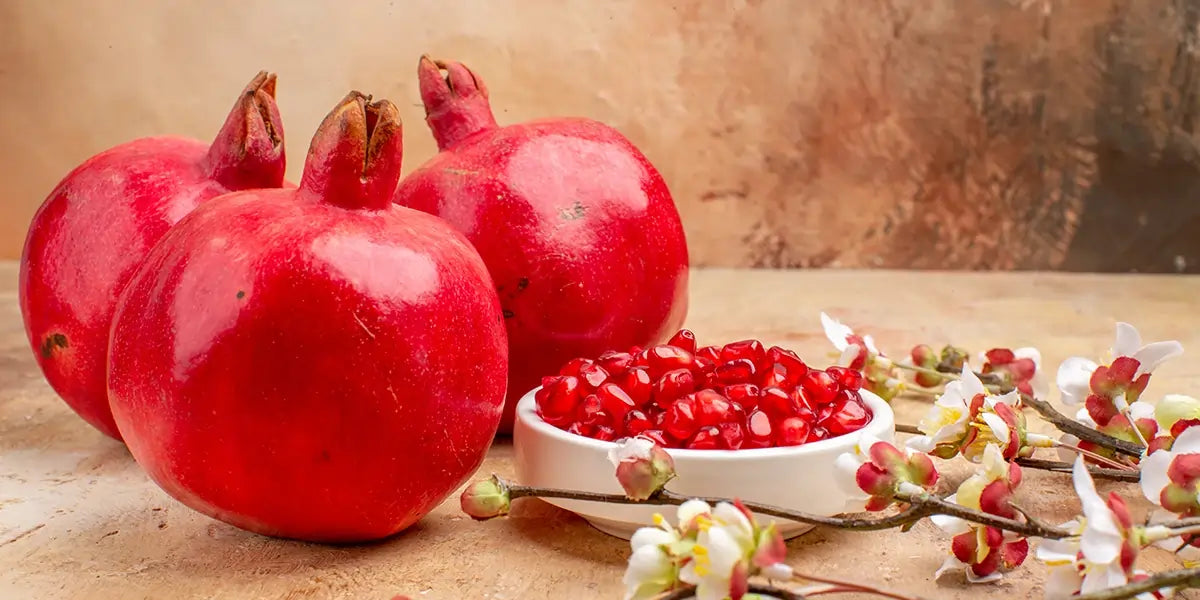How Pomegranate Supports Egg & Sperm Health – Ultimate You